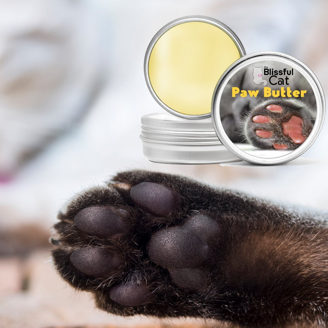 The Blissful Cat Butter Balm – Reigning Cats & Dogs